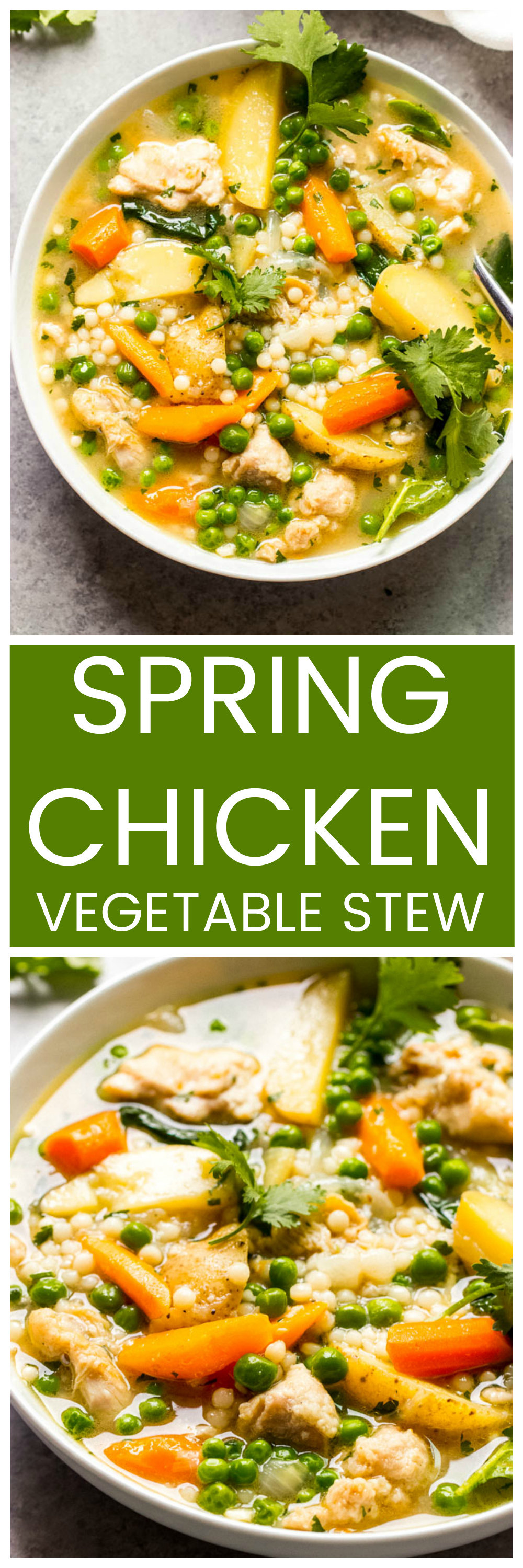 Stewed Chicken Recipe - Little Broken